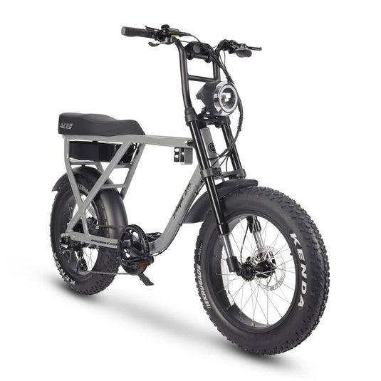 ACE-X PLUS EBIKE - Vintage-Inspired Sleek | Adelaide