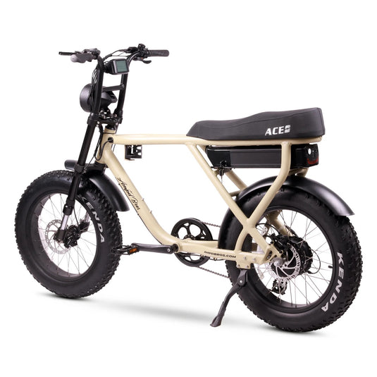ACE-X PLUS EBIKE - Vintage-Inspired Sleek | Adelaide